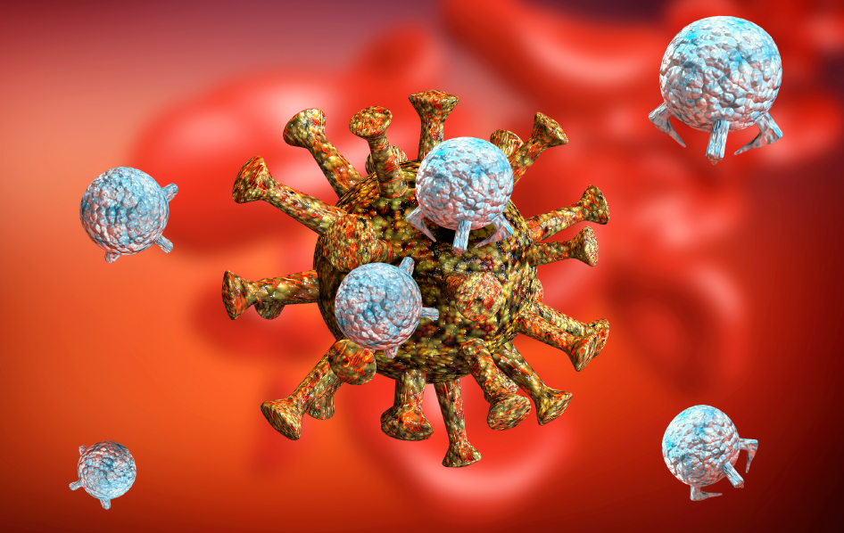 Evidence of long-lasting memory T cells that react to SARS-CoV-2 ...